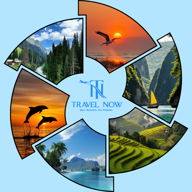 Trang chủ - Travel Now
